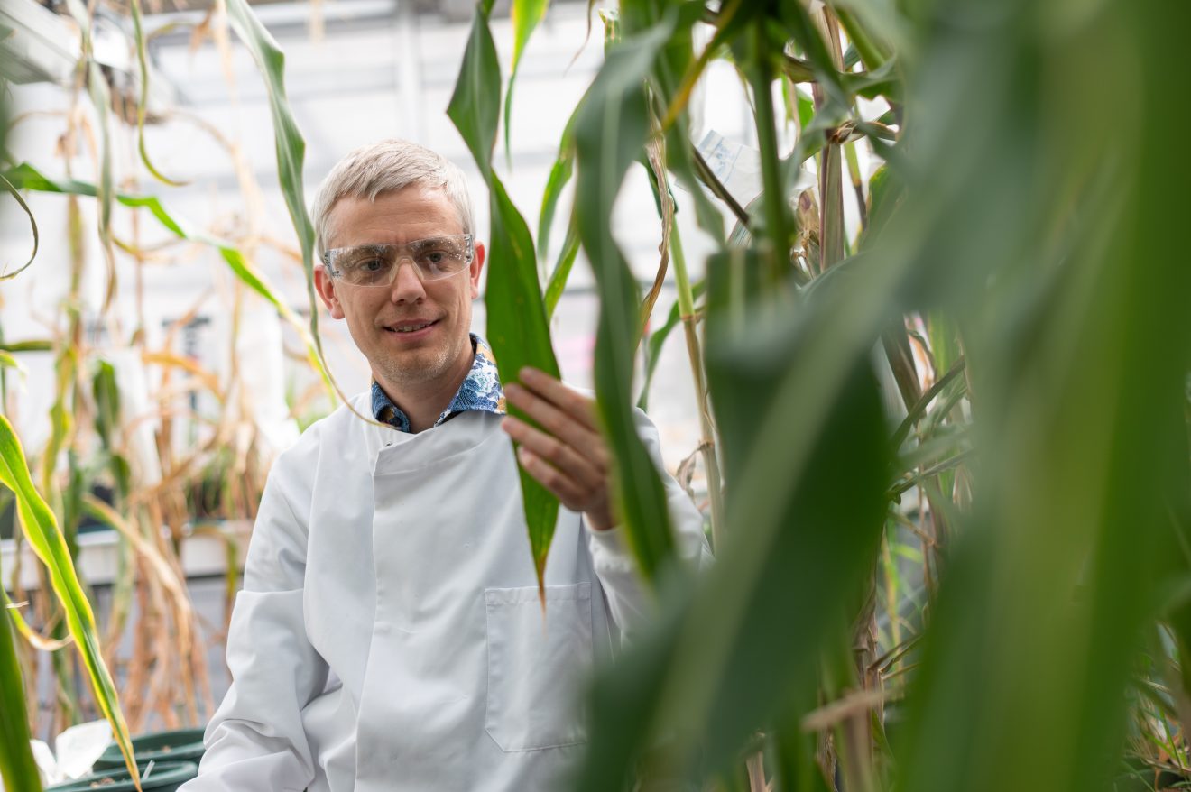 Prof Steven Kelly - The Queen's College, Oxford